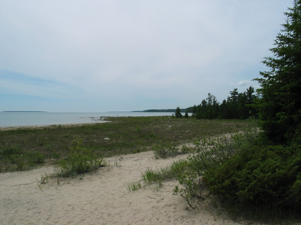 Besser Natural Area - Michigan Water Trails